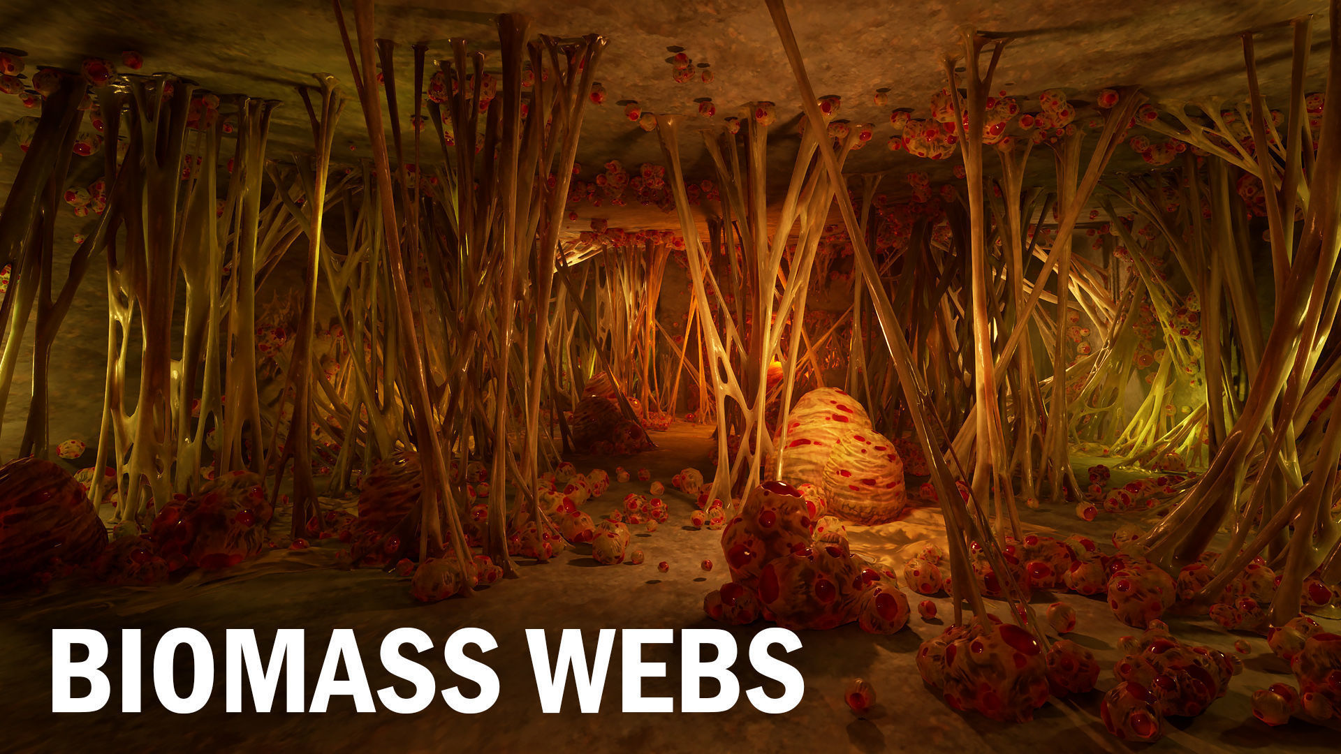 3D model Biomass webs VR / AR / low-poly | CGTrader