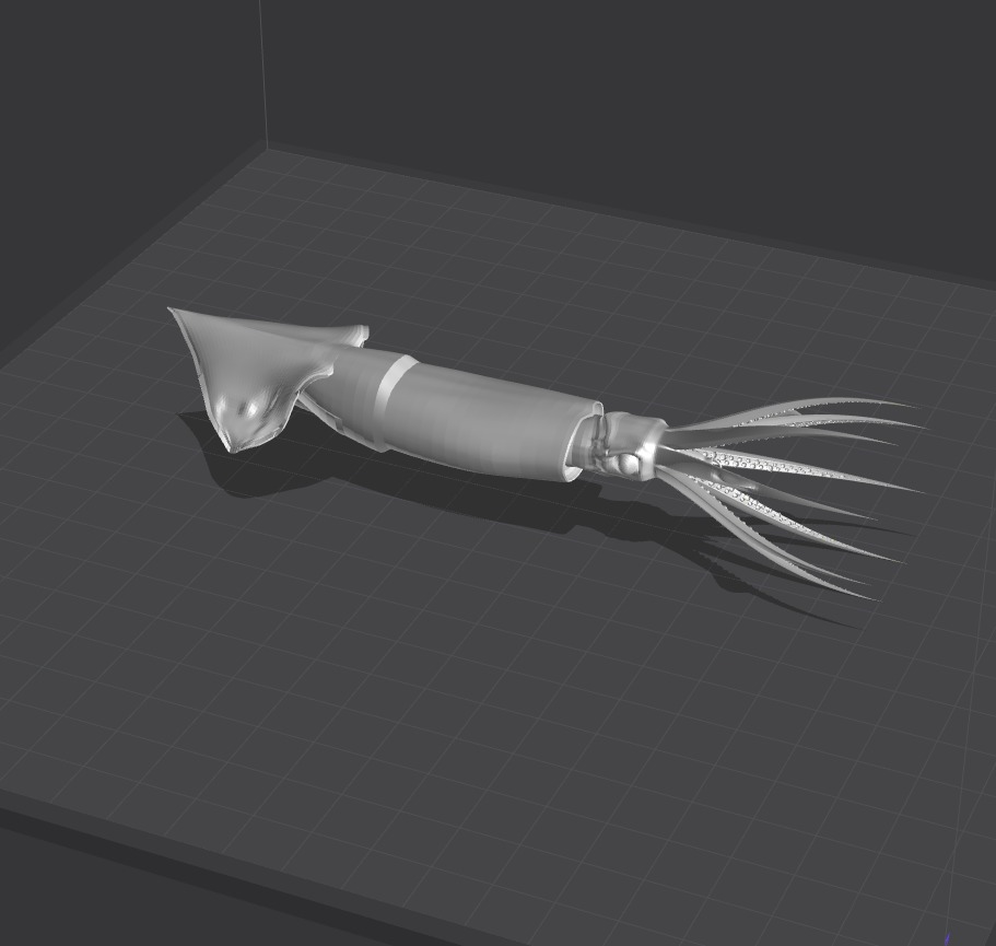 Squid Bait Free 3d Model 3d Printable Cgtrader