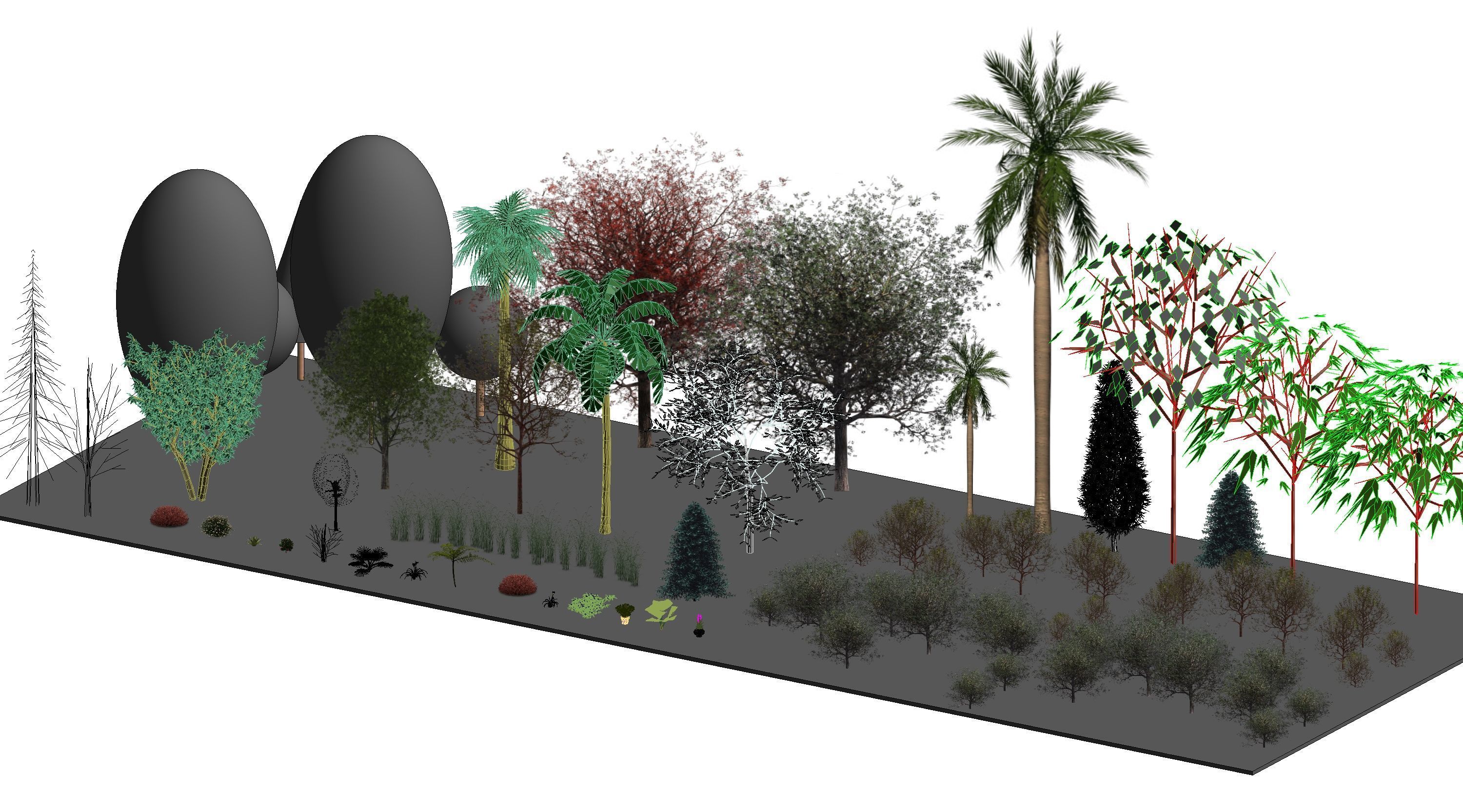 Tree Outdoor Landscape Revit Family 3D model | CGTrader