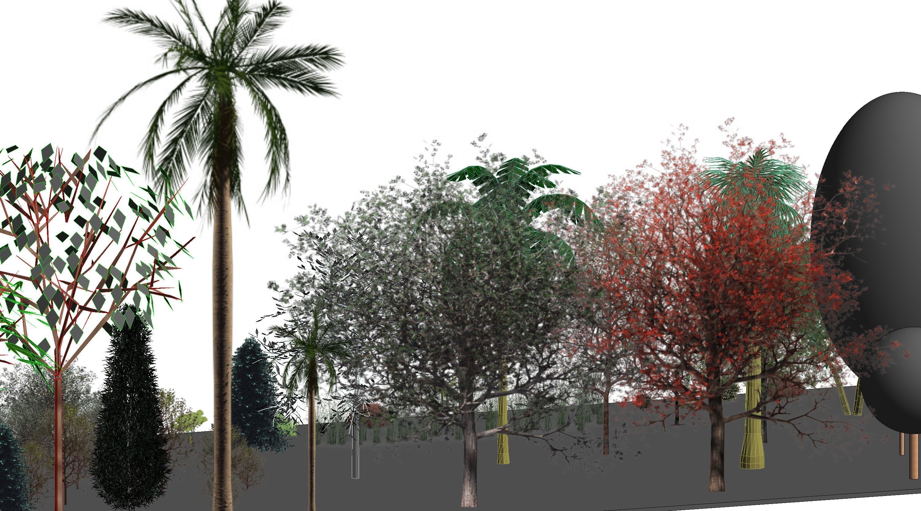 Tree Outdoor Landscape Revit Family 3D model | CGTrader