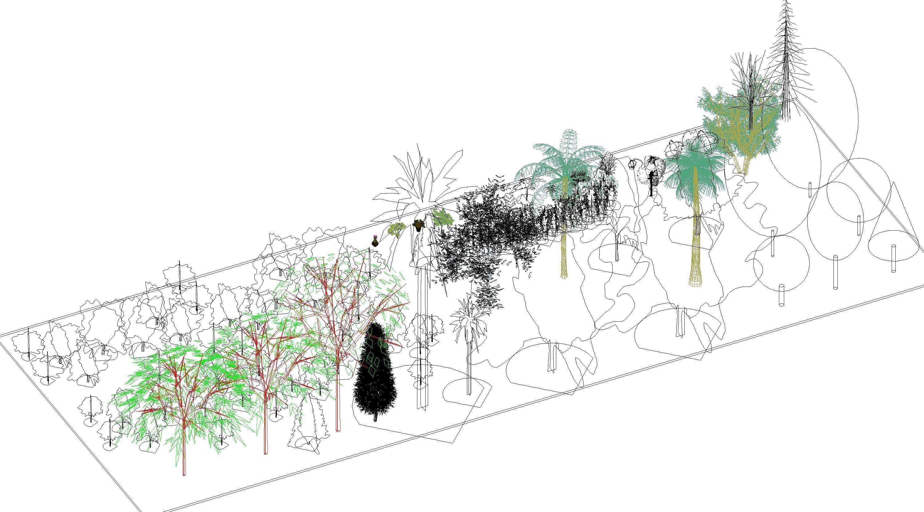 Tree Outdoor Landscape Revit Family 3D model | CGTrader