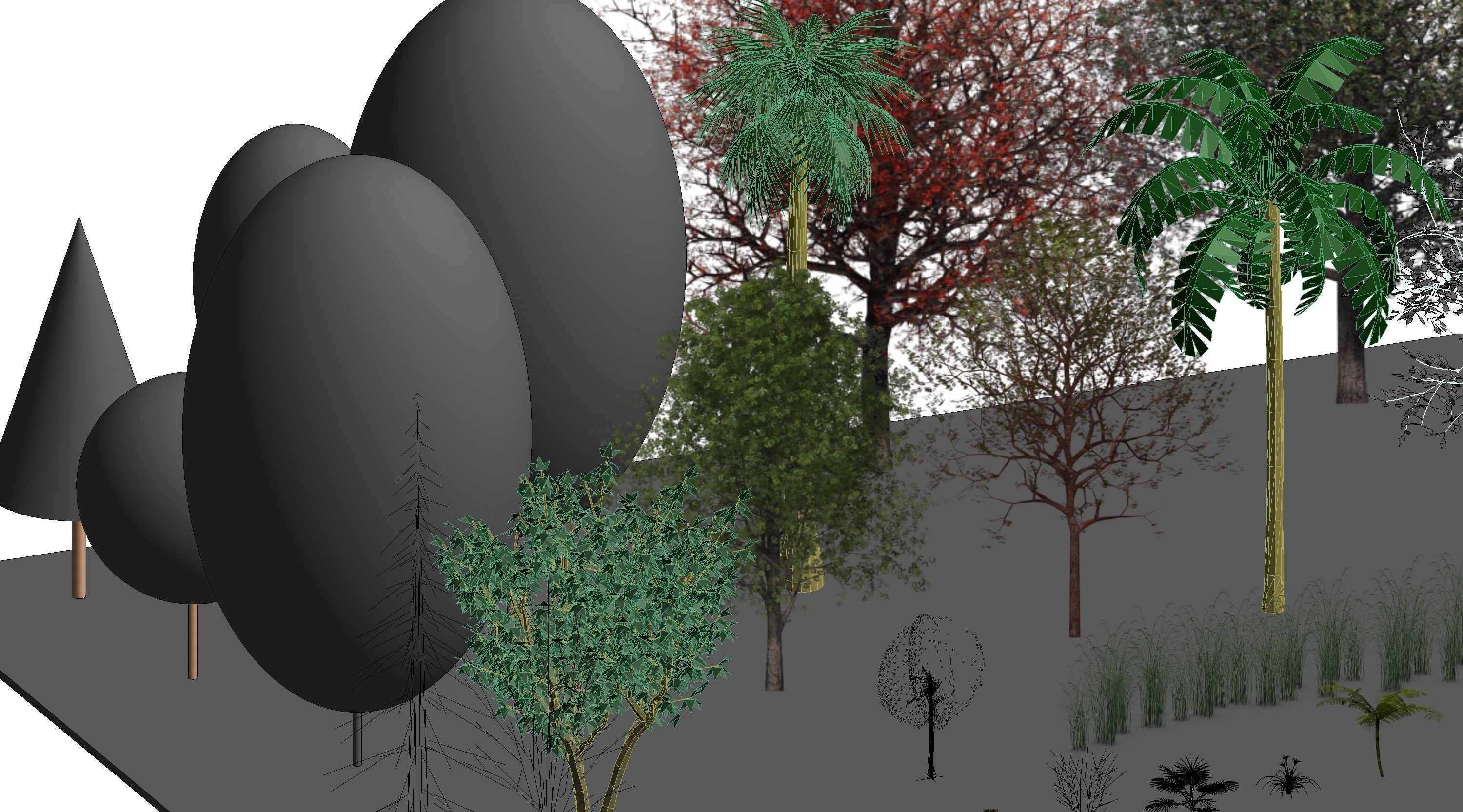 Tree Outdoor Landscape Revit Family 3D model | CGTrader