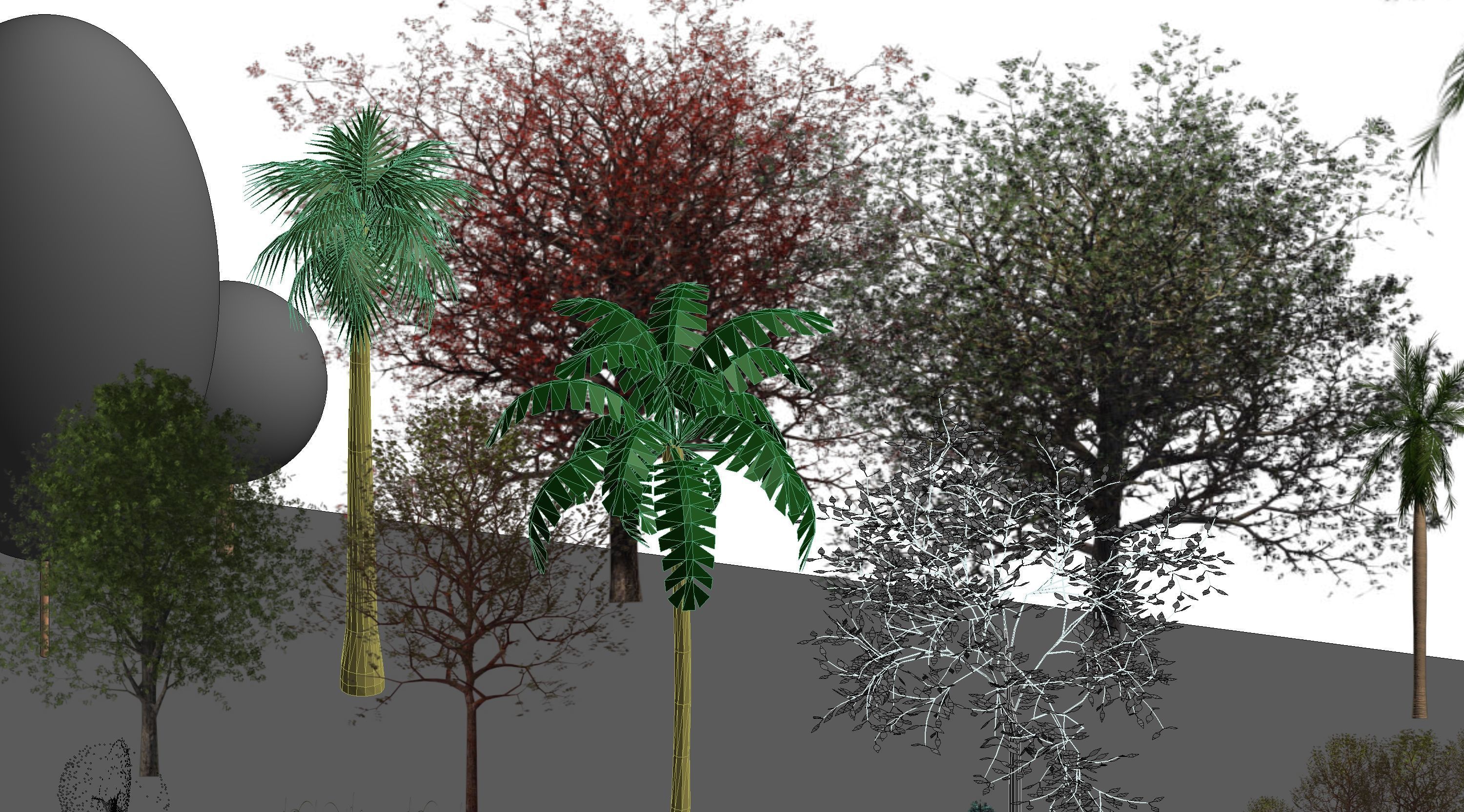 Tree Outdoor Landscape Revit Family 3D model | CGTrader