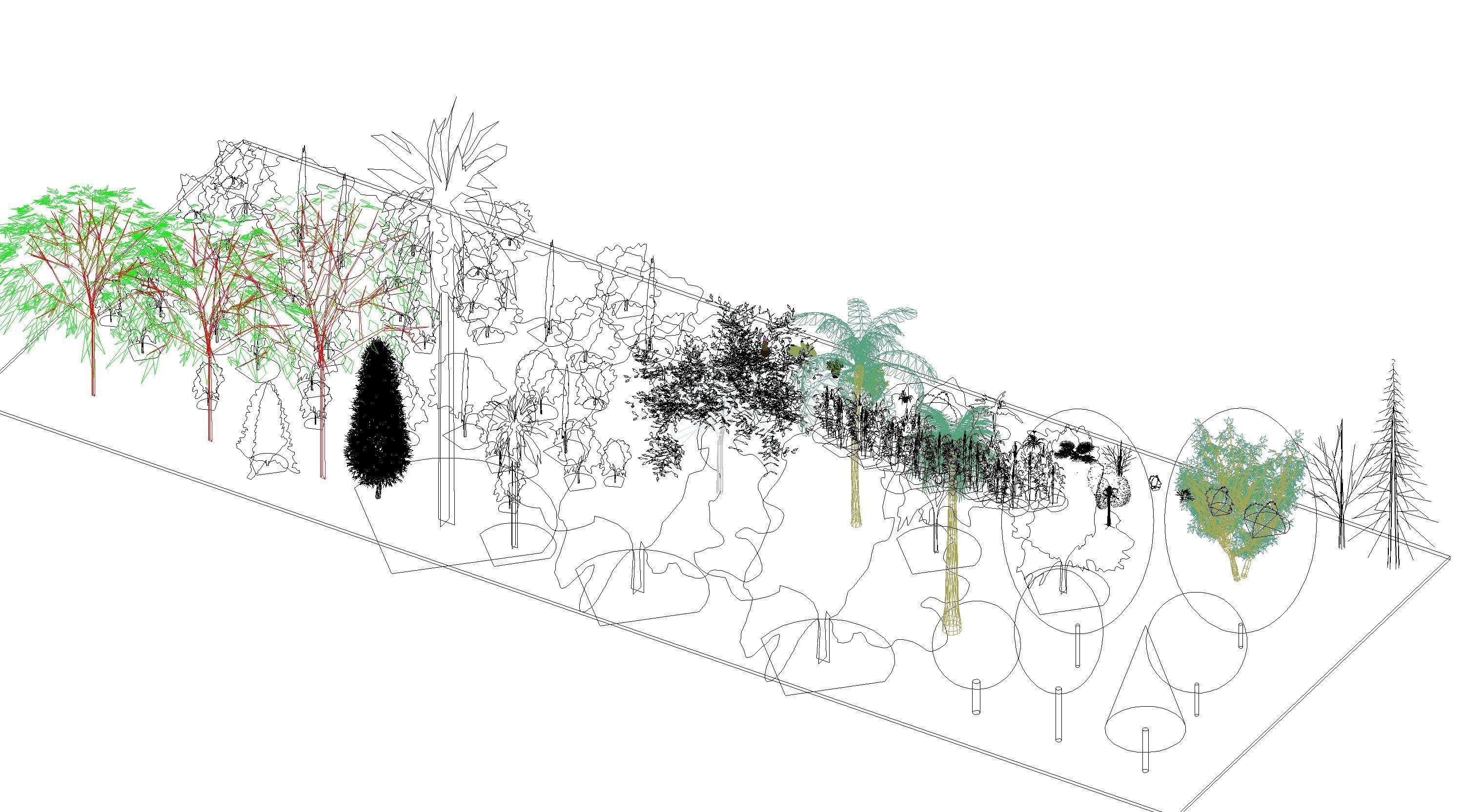 Tree Outdoor Landscape Revit Family 3D model | CGTrader