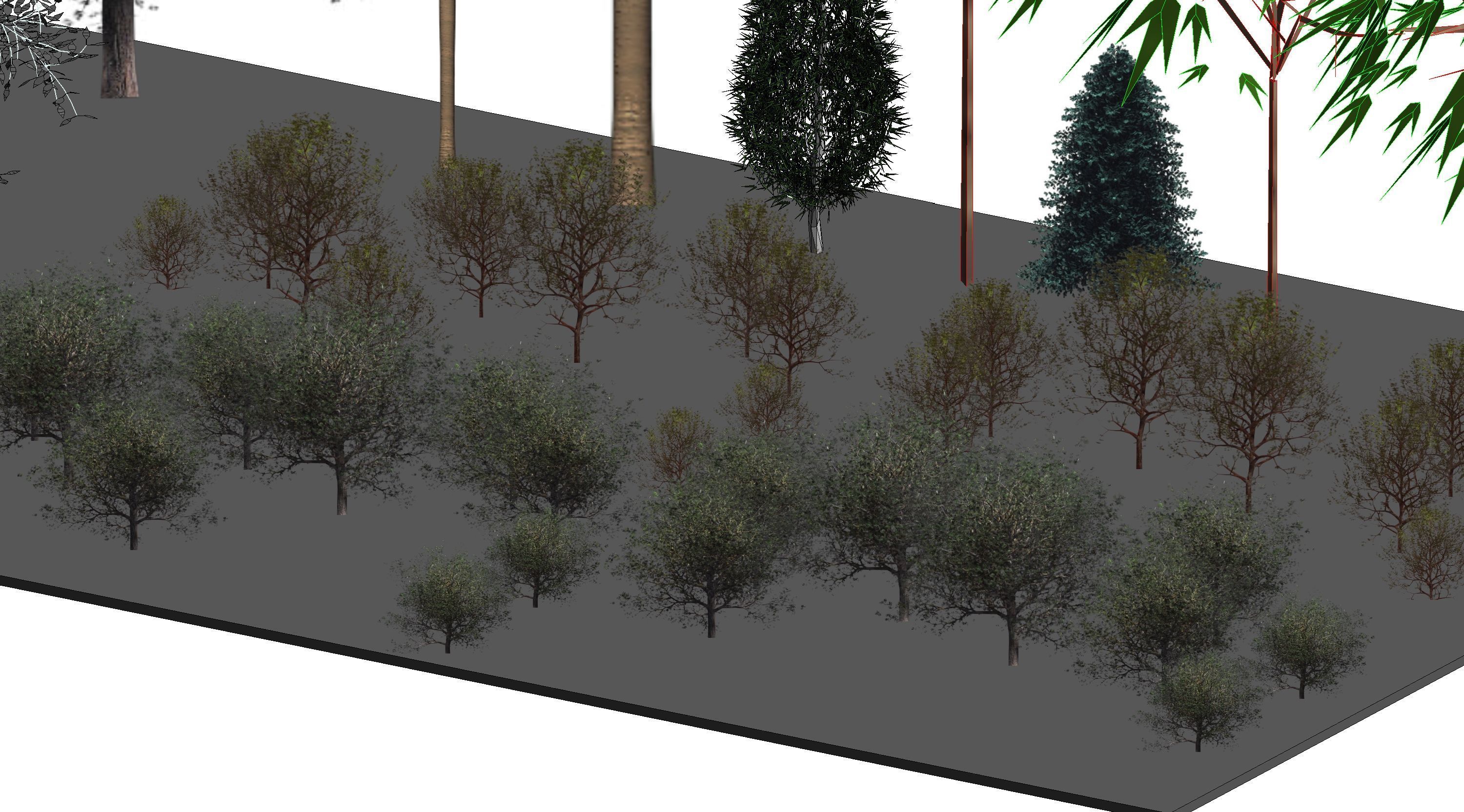Tree Outdoor Landscape Revit Family 3D model | CGTrader