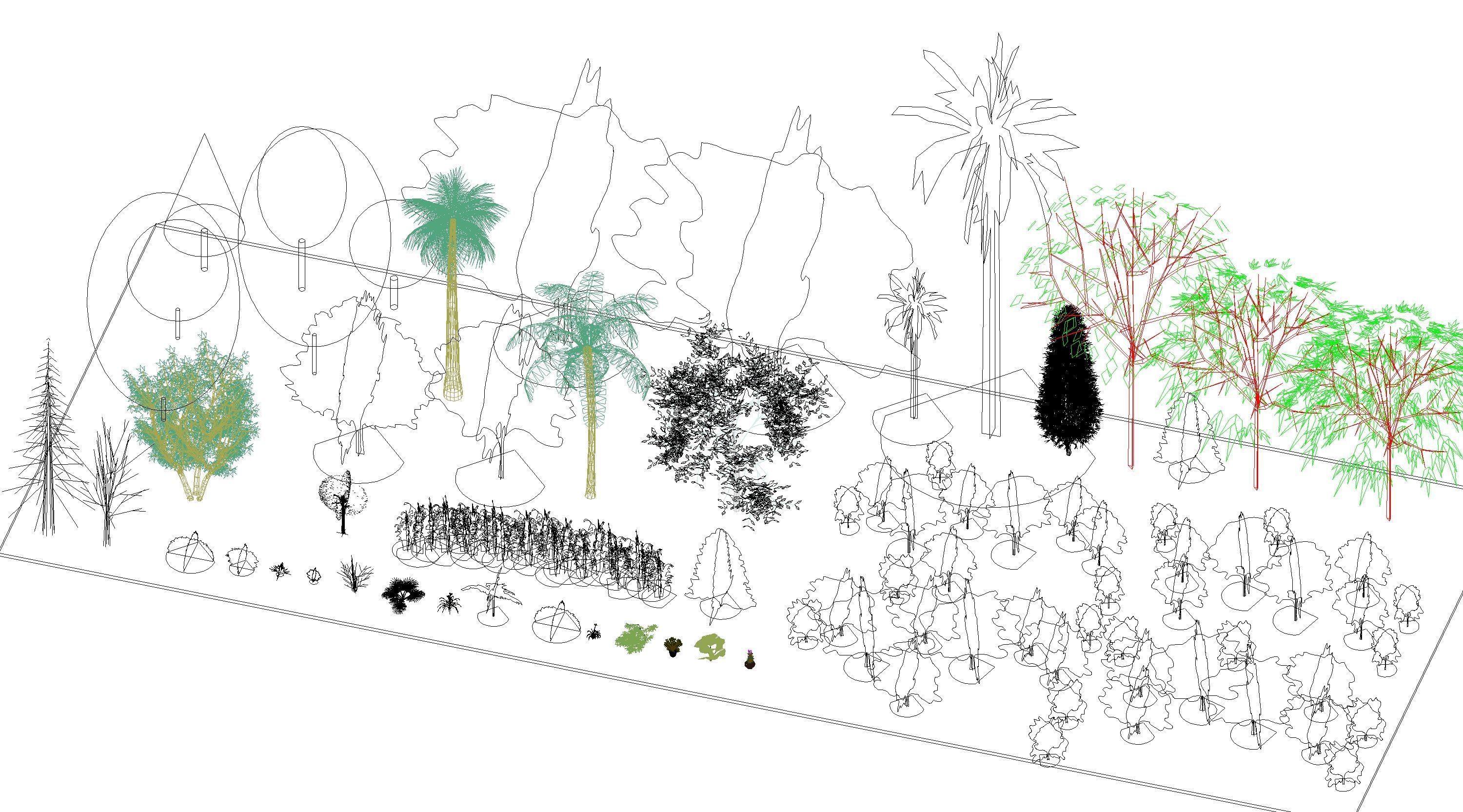 Tree Outdoor Landscape Revit Family 3D model | CGTrader