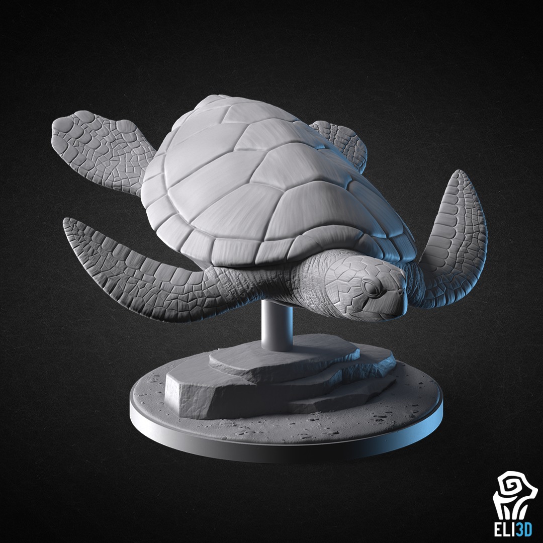 Sea Turtle - Animal 3D model 3D printable | CGTrader