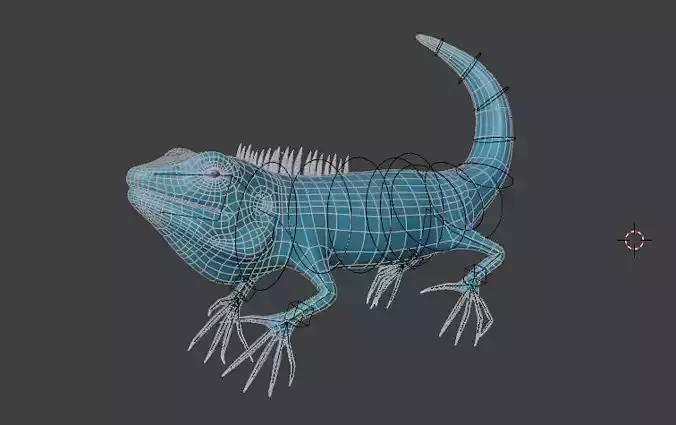 Lizard free 3D model rigged | CGTrader