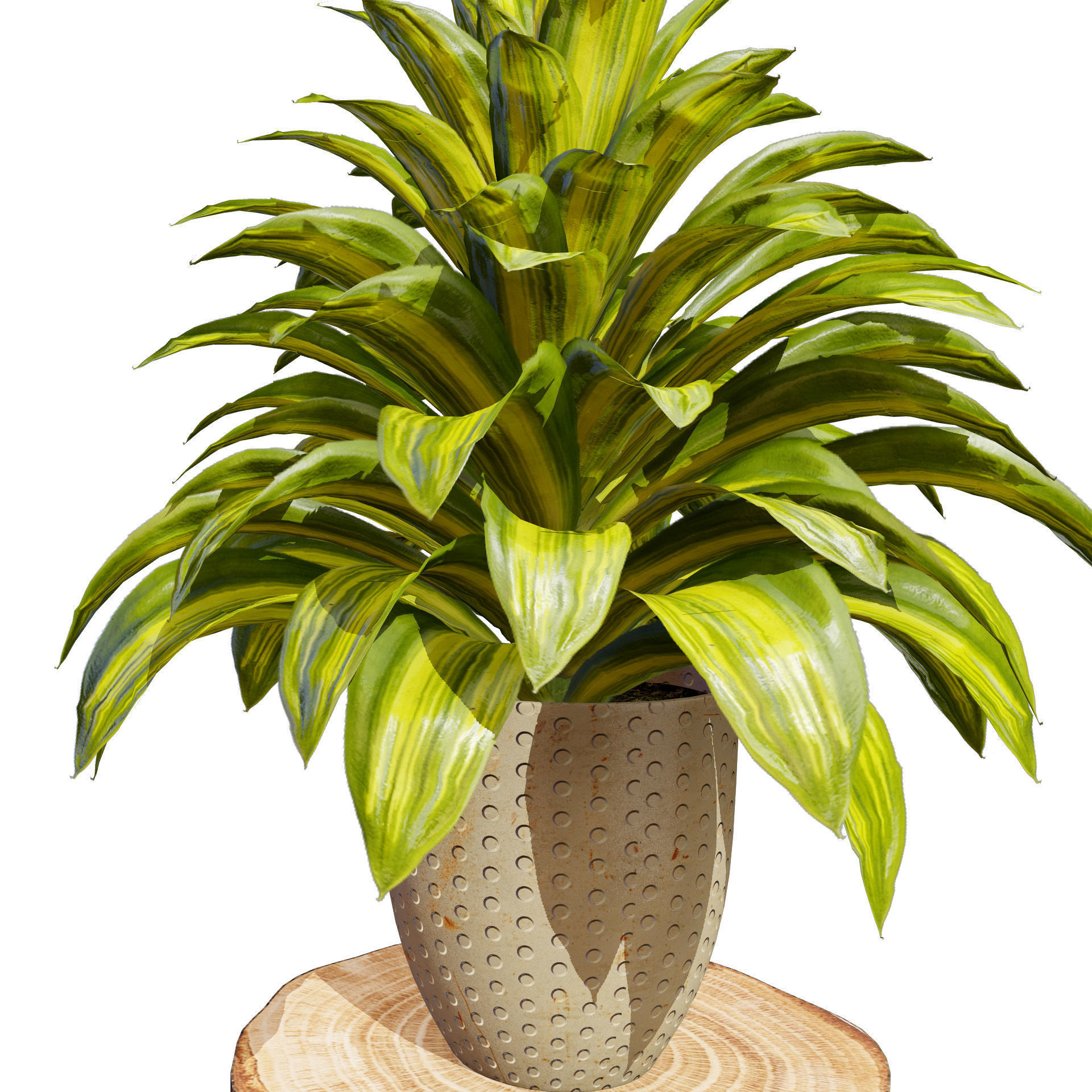3D model Corn Plant 3D Model VR / AR / low-poly | CGTrader