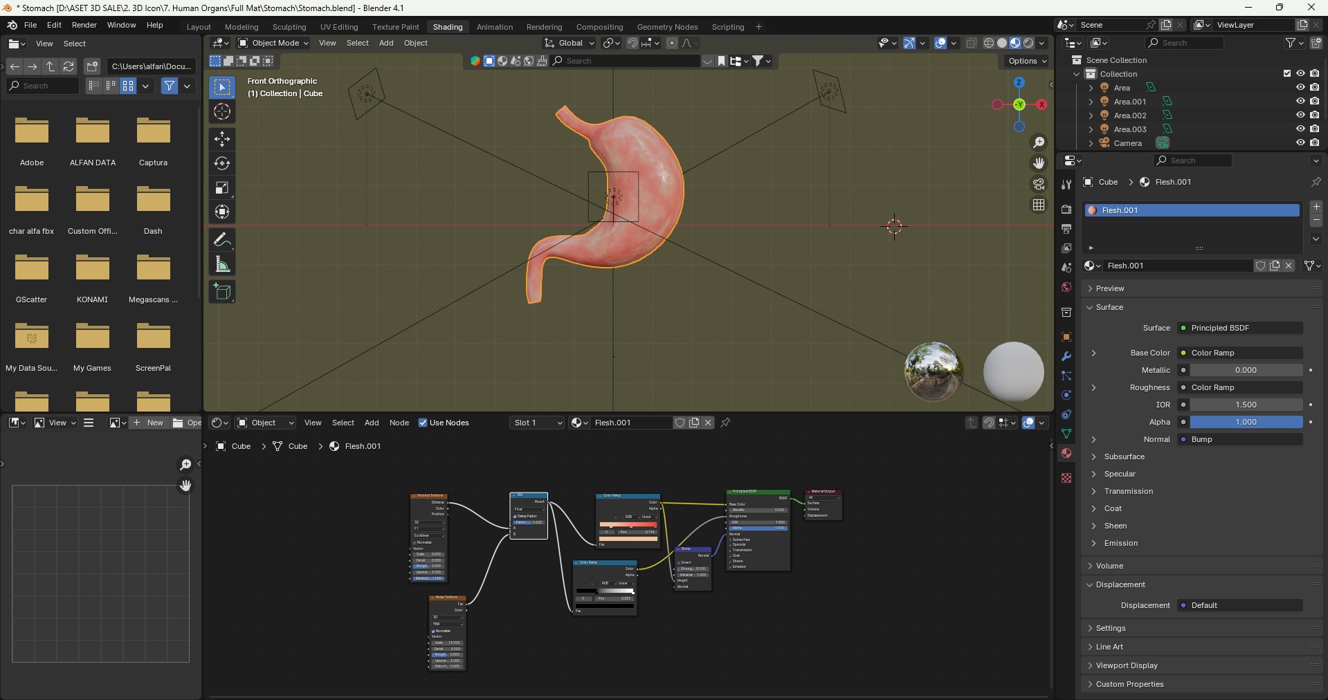 Stomach Human Anatomy free VR / AR / low-poly 3D model | CGTrader