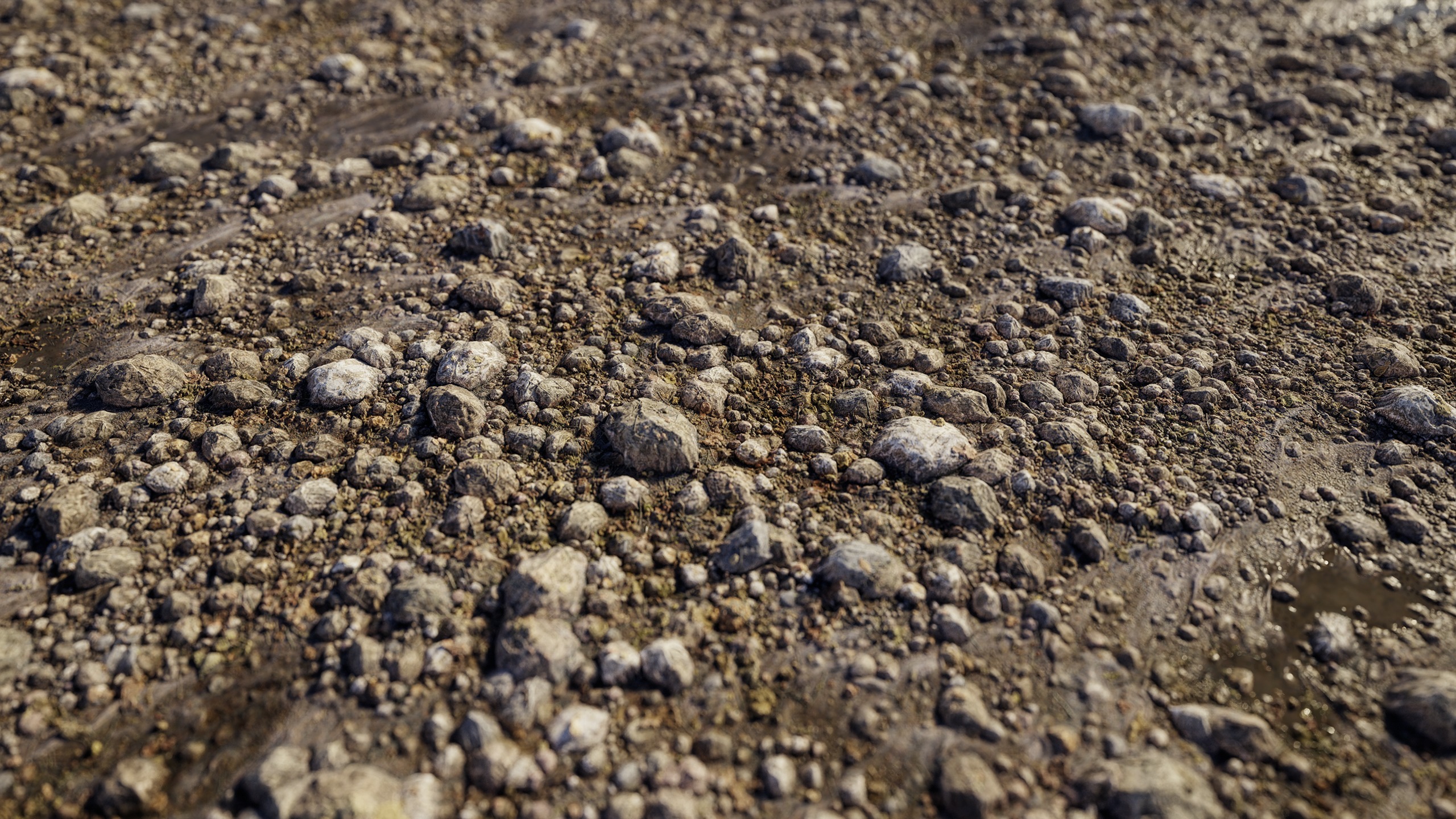 Rocky River Bed Tileable PBR Material Texture | CGTrader