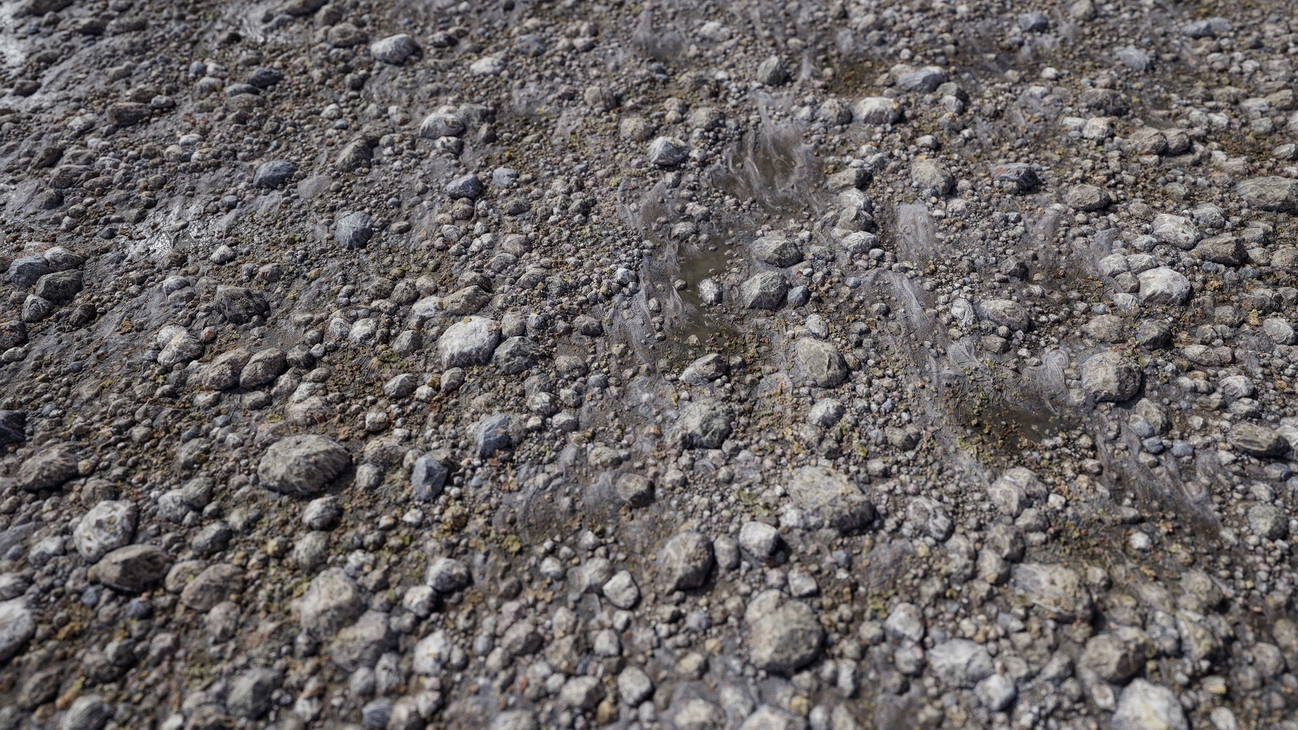 Rocky River Bed Tileable PBR Material Texture | CGTrader
