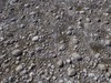 Rocky River Bed Tileable PBR Material Texture | CGTrader