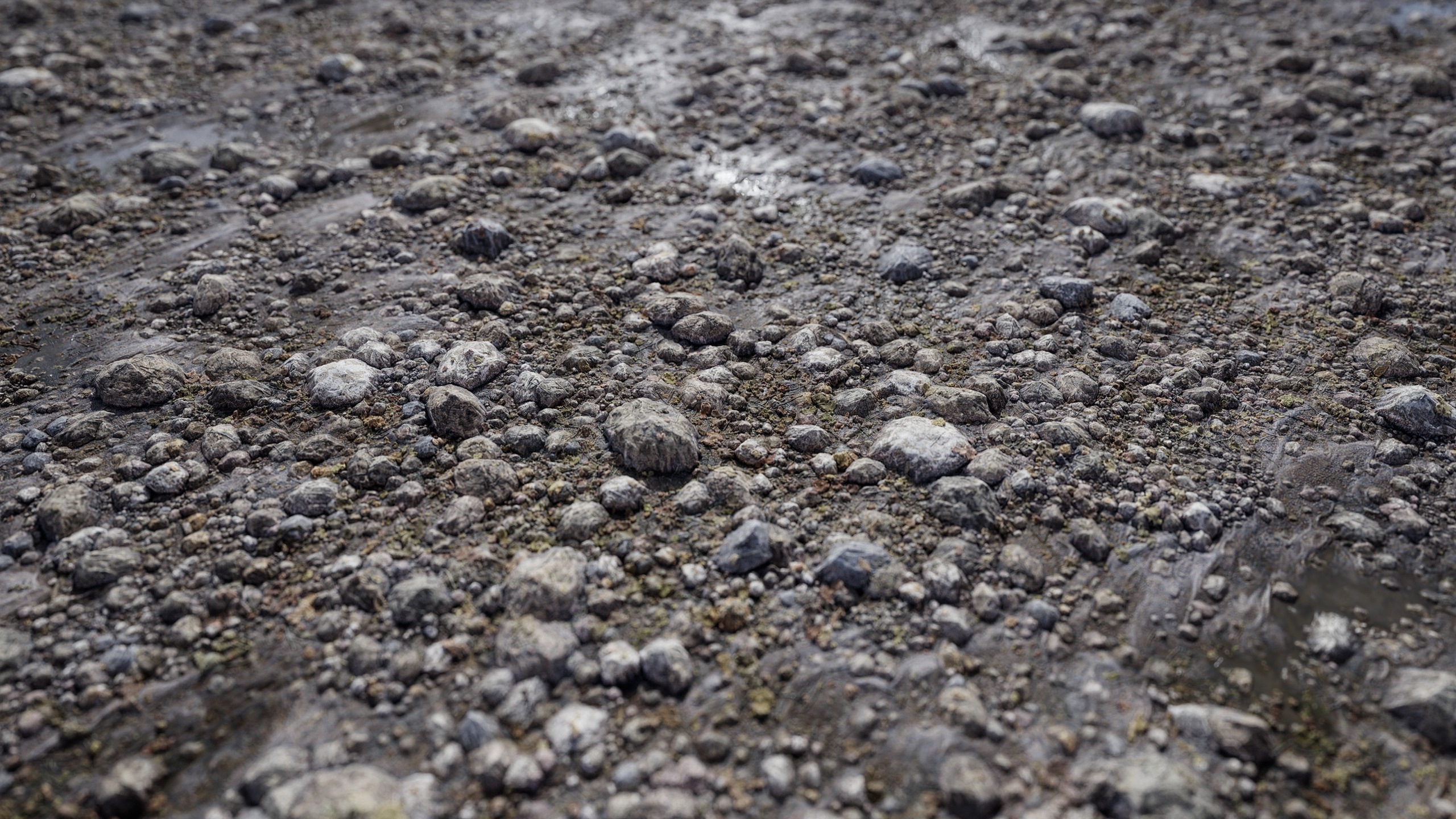 Rocky River Bed Tileable PBR Material Texture | CGTrader