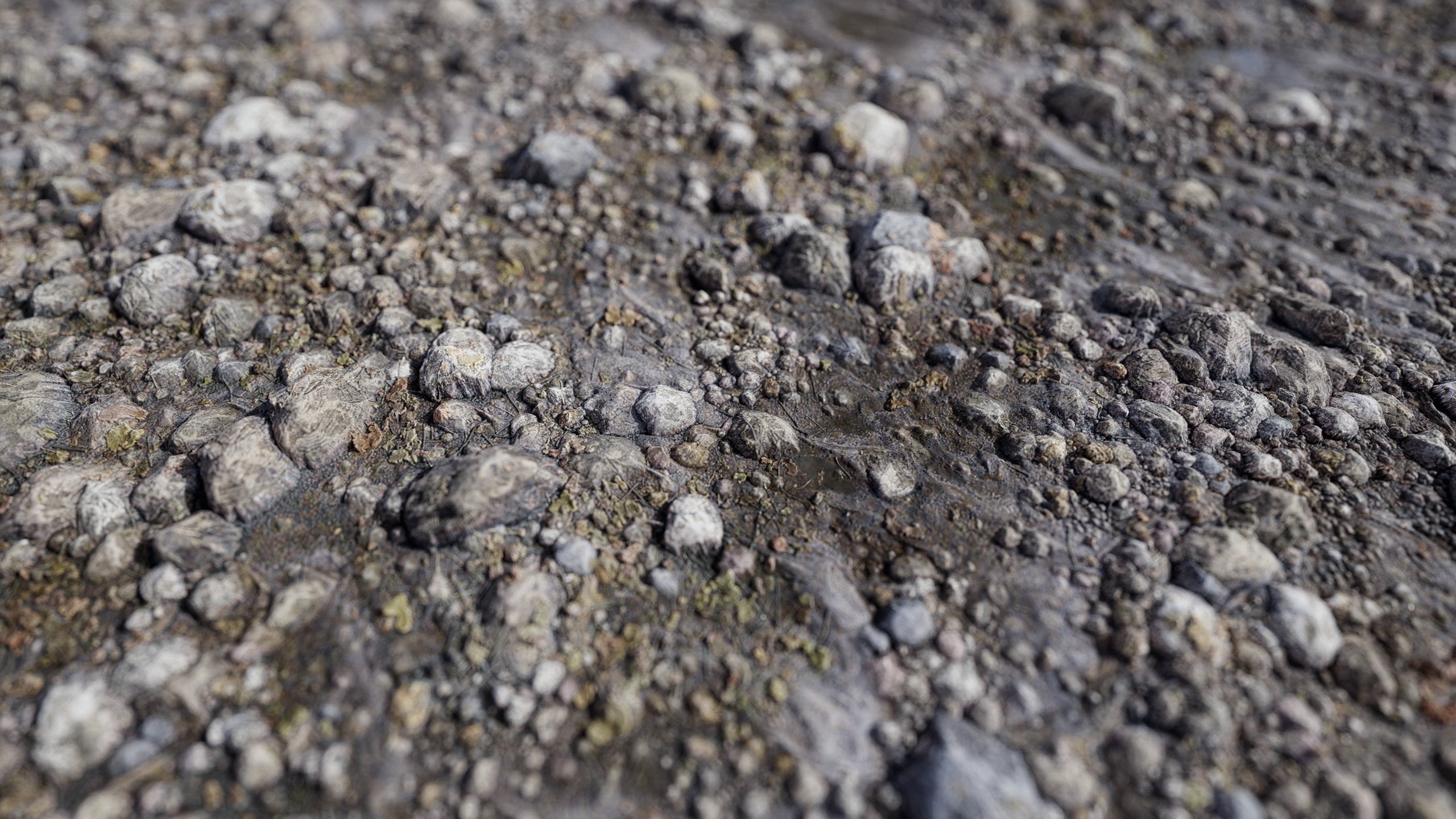 Rocky River Bed Tileable PBR Material Texture | CGTrader