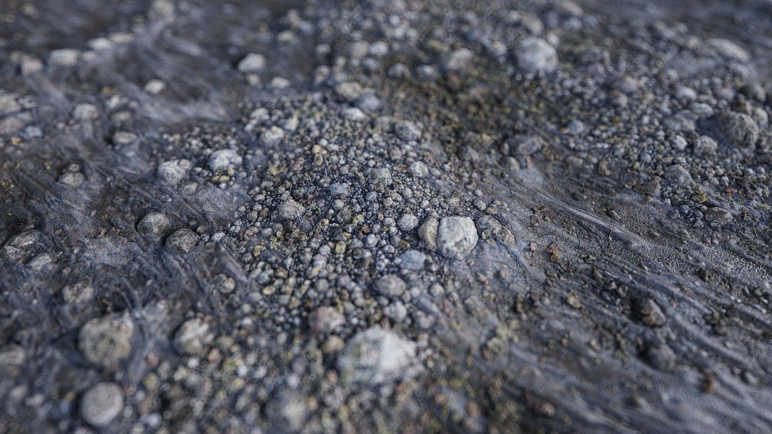 Rocky River Bed Tileable PBR Material Texture | CGTrader