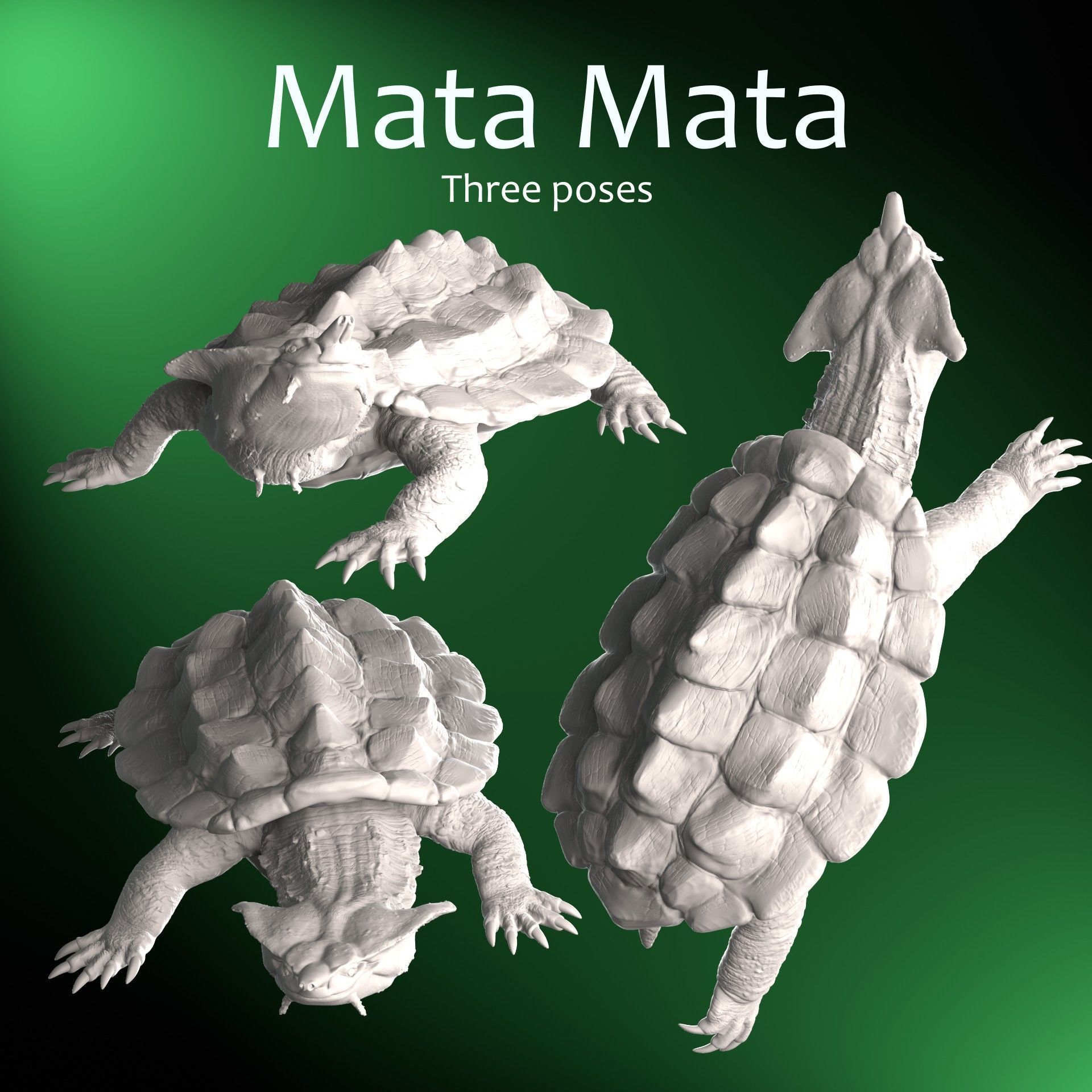 Mata Mata Realistic Turtle 3D Print Model 3D model 3D printable | CGTrader