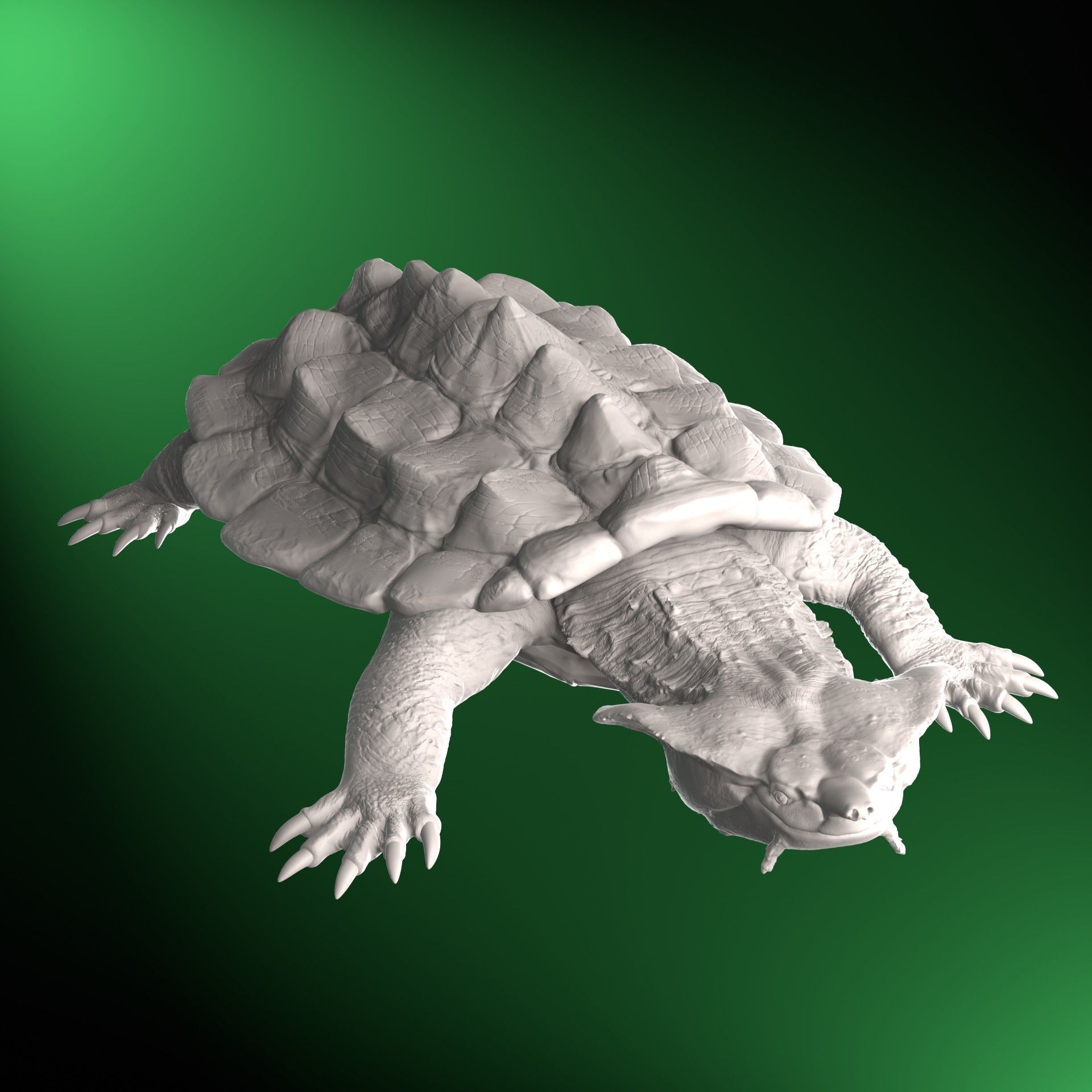Mata Mata Realistic Turtle 3D Print Model 3D model 3D printable | CGTrader