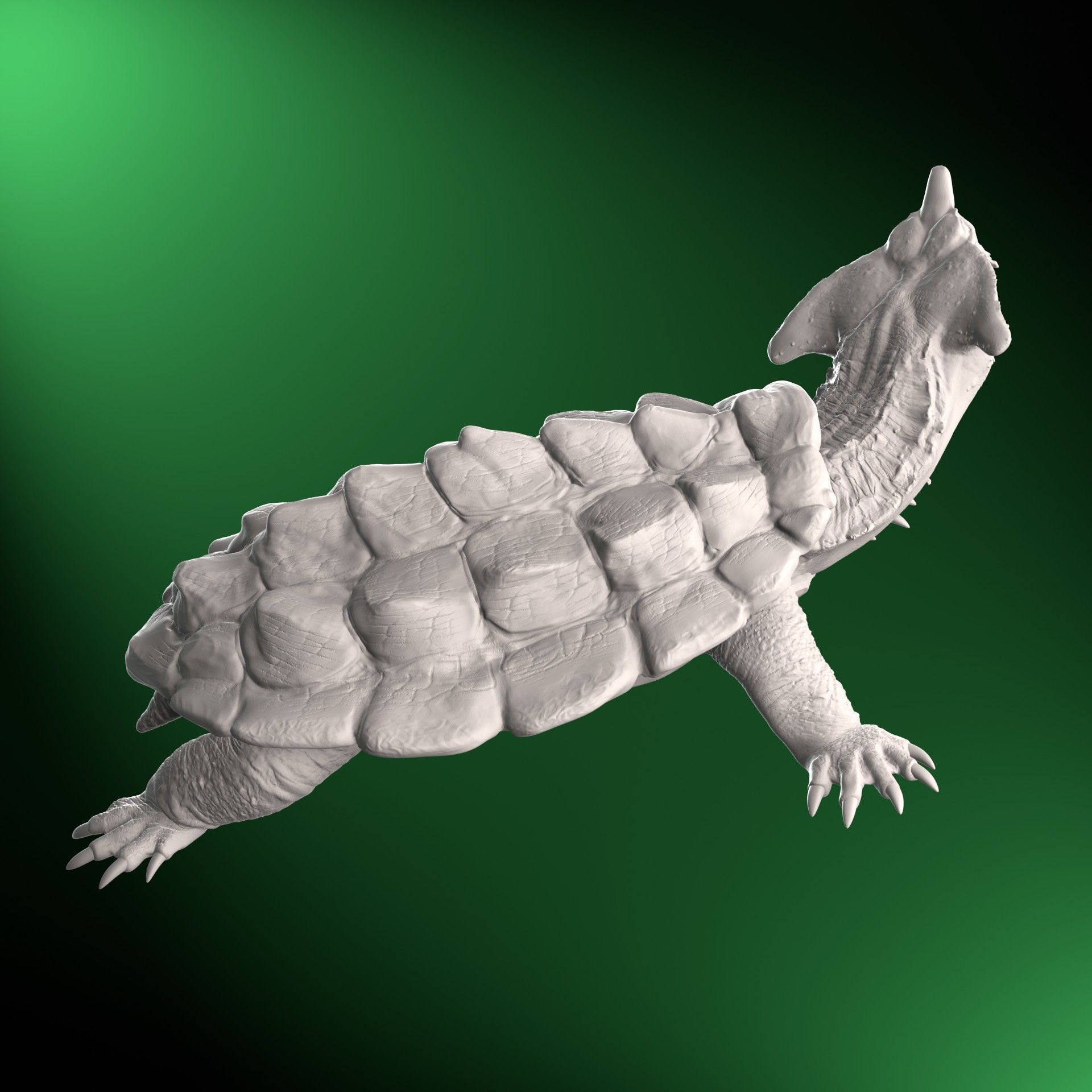 Mata Mata Realistic Turtle 3D Print Model 3D model 3D printable | CGTrader