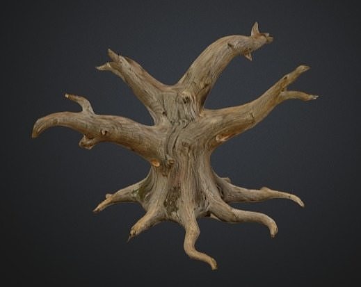 3D Ancient Oak Tree with Gnarled Branches and Roots 3D model | CGTrader
