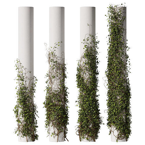 Ivy On Column 3D model | CGTrader