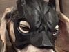 BatCat BatDog 3d model batman mask for cat dog print free 3D model 3D ...