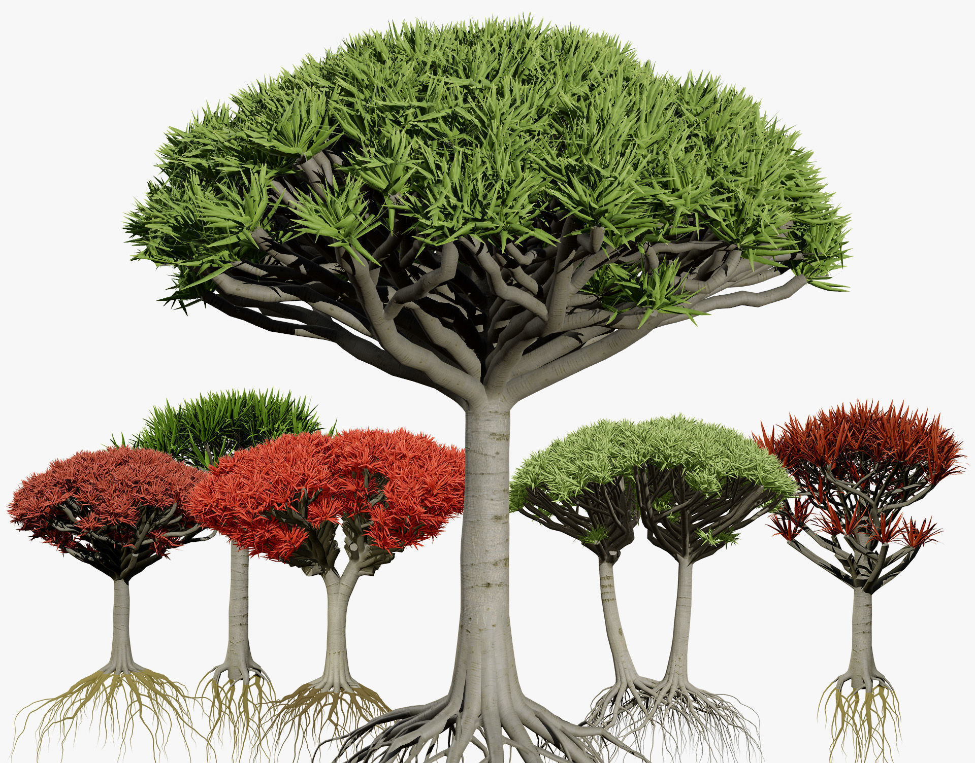 3D model Dragon Blood Tree 3D Model VR / AR / low-poly | CGTrader