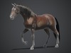 Horse animated 3D model animated rigged | CGTrader