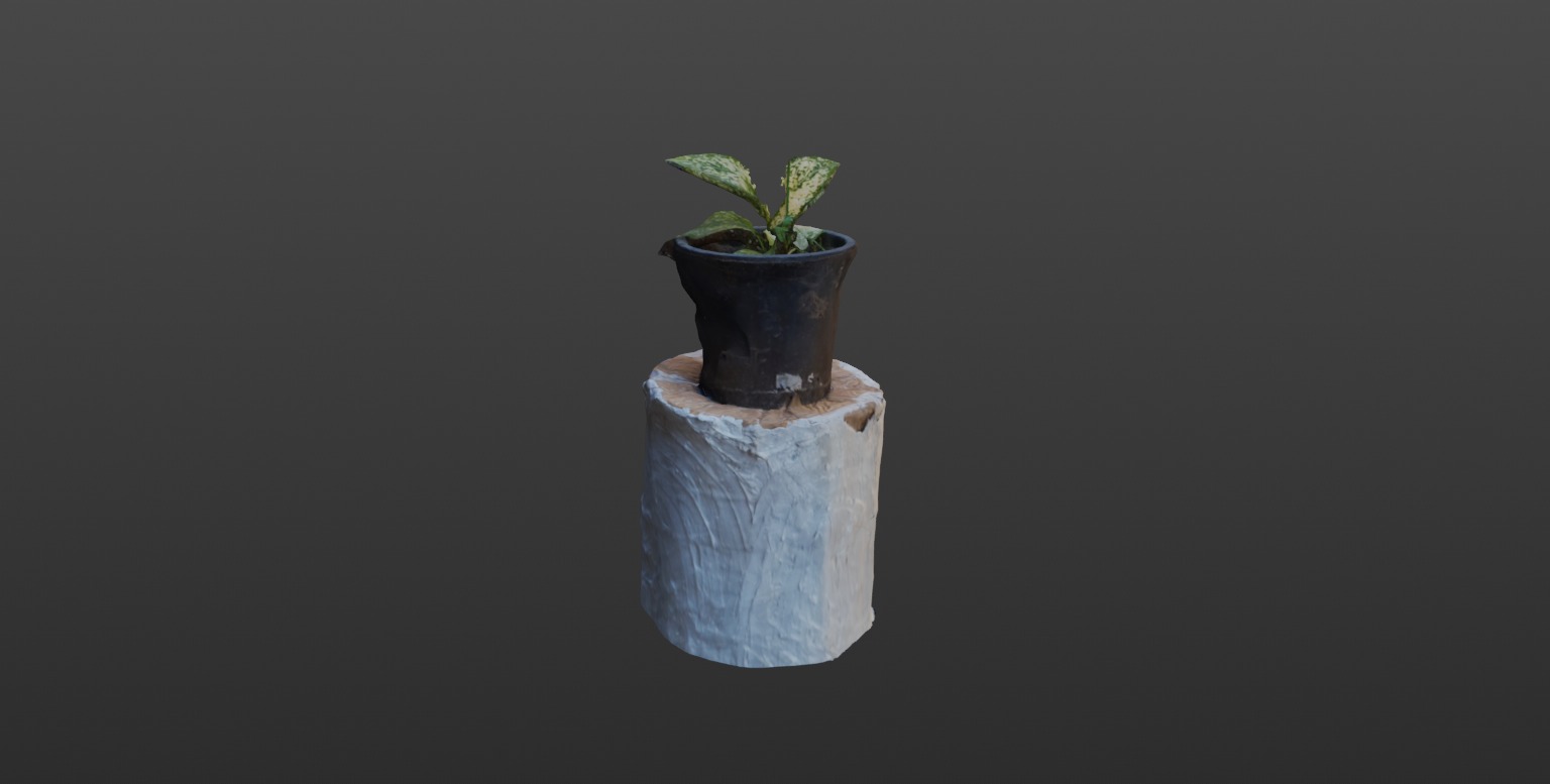 3d Scanned plant free 3D model | CGTrader