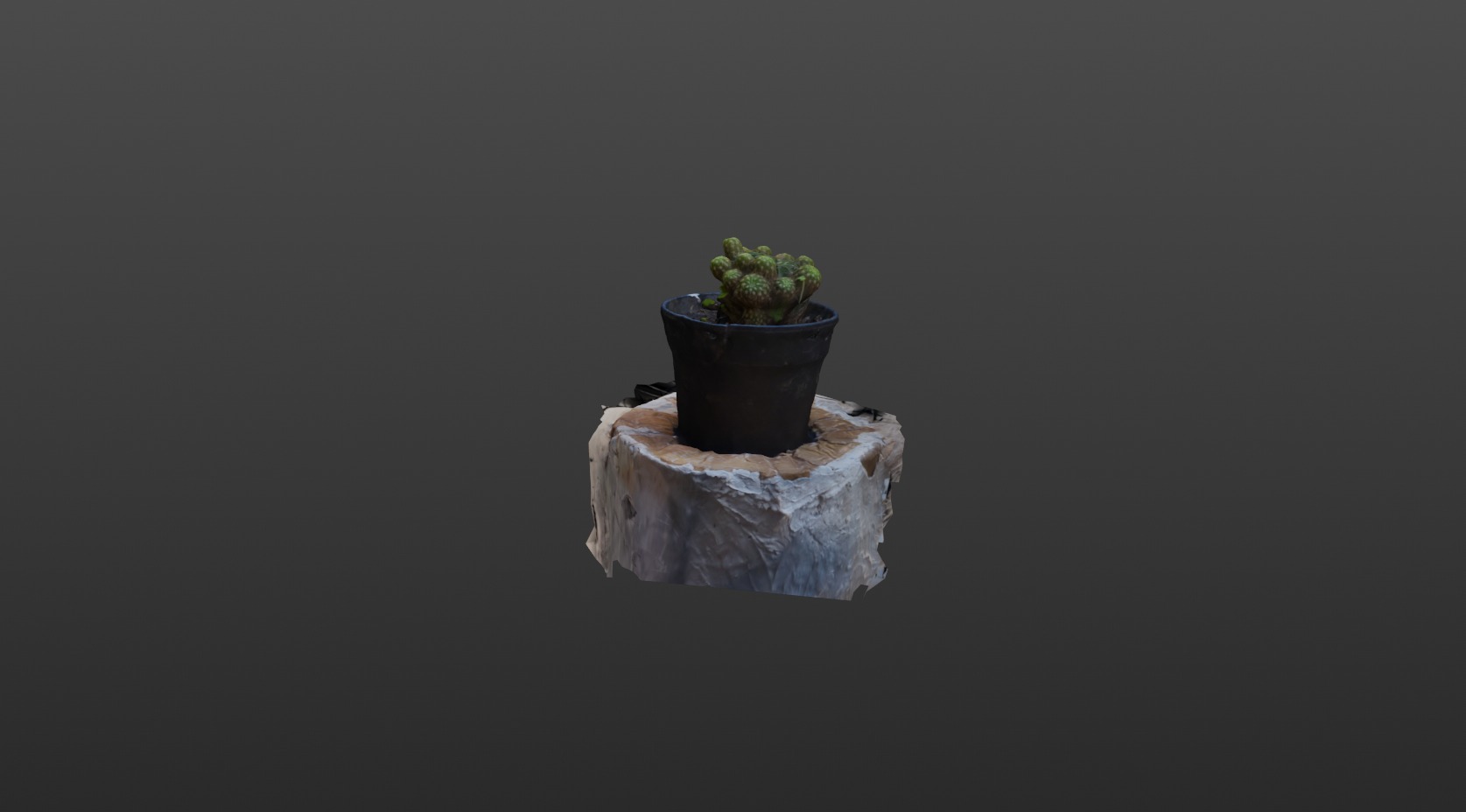 3d Scanned plant free 3D model | CGTrader