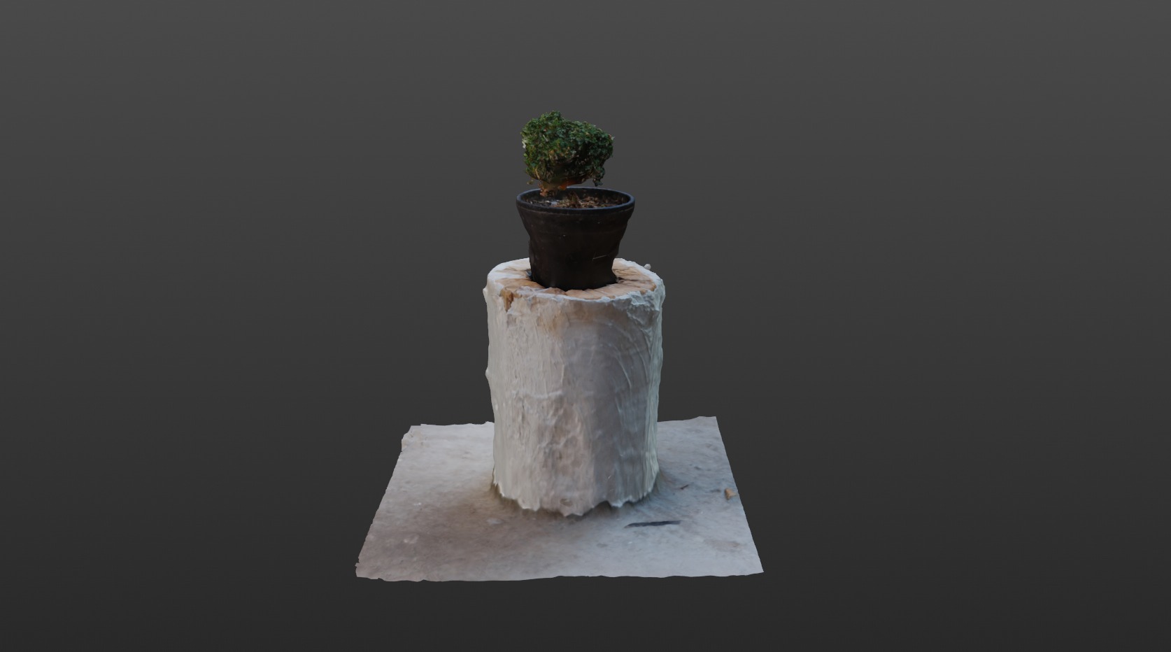 3d Scanned plant free 3D model | CGTrader