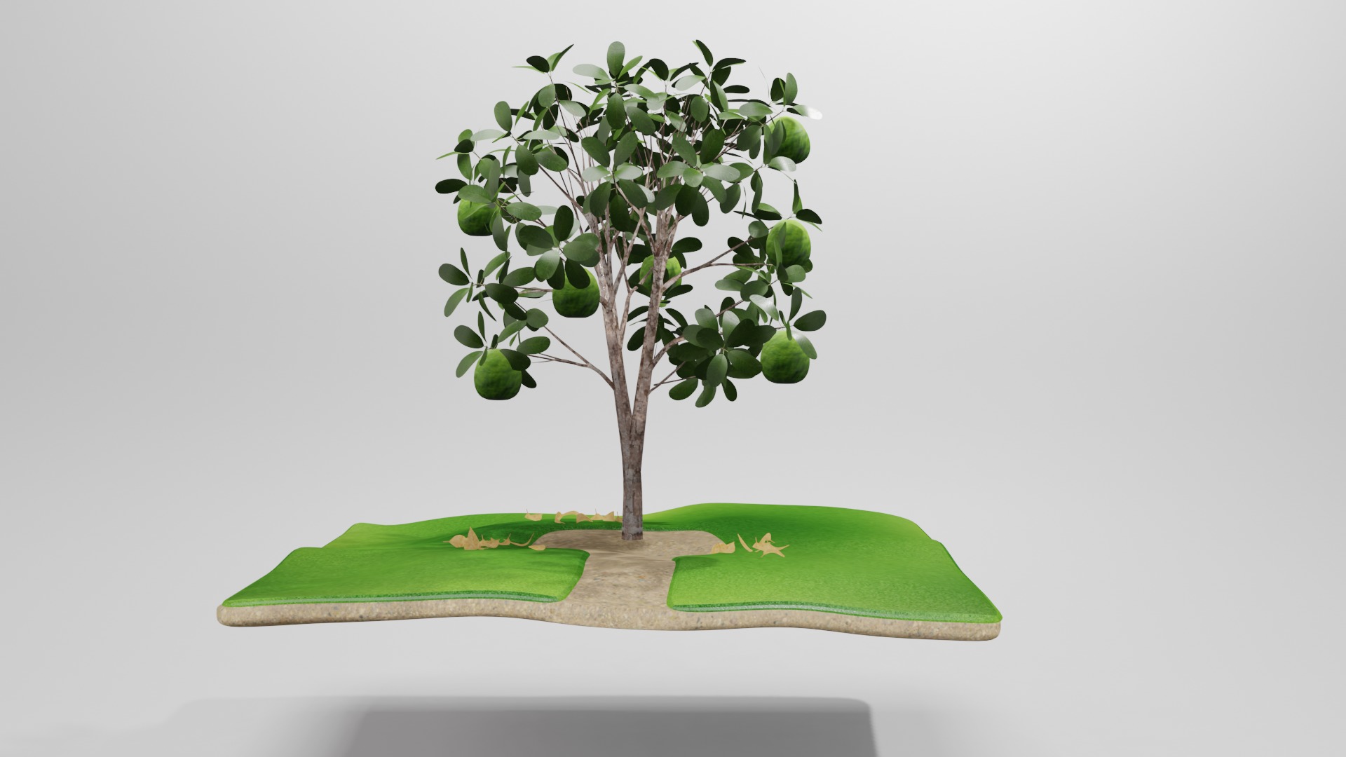Guava tree 3D model | CGTrader