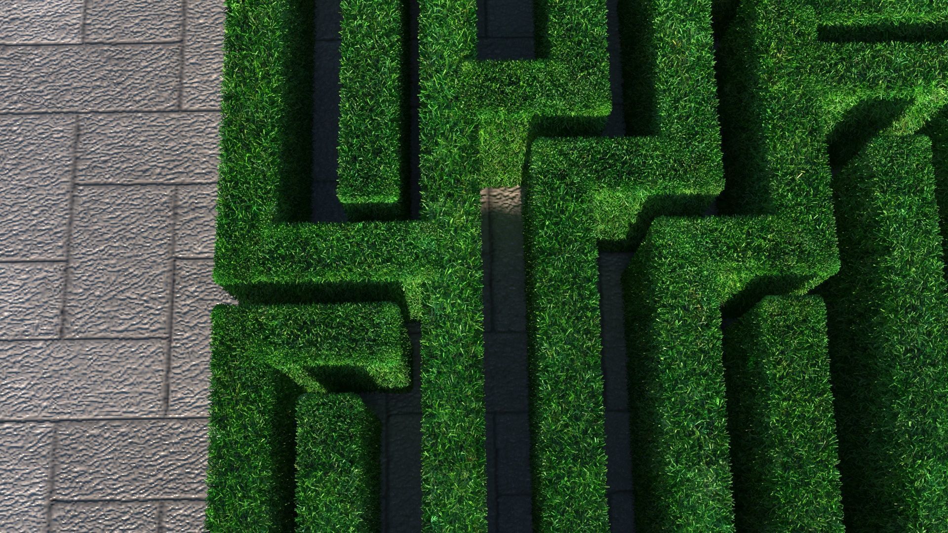 Rectangular Maze With Grass 3D model | CGTrader