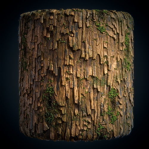 Wood Tree Bark Material - VOL 06 - Maps - SBsar Texture | CGTrader