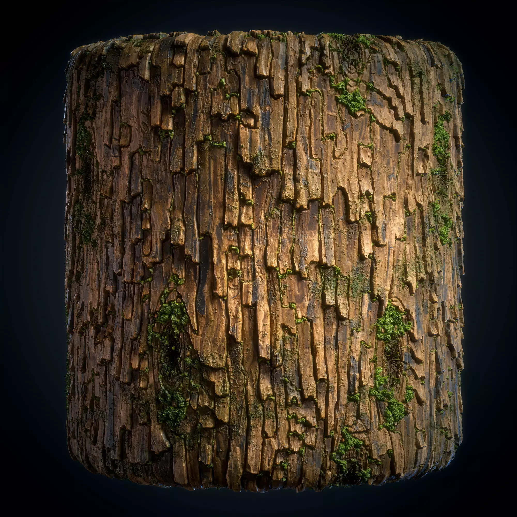 Wood Tree Bark Material - VOL 06 - Maps - SBsar Texture | CGTrader