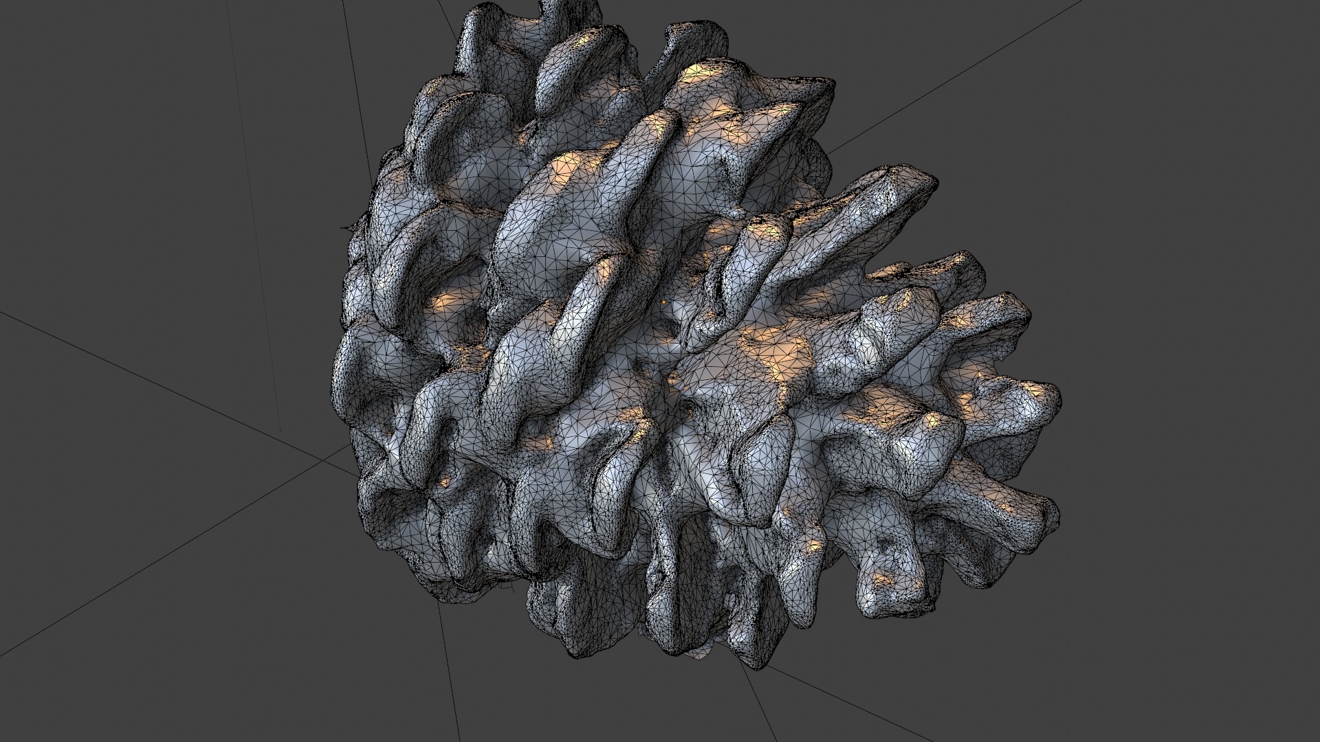 3D Scanned Pinecone Photogrammetry free 3D model | CGTrader