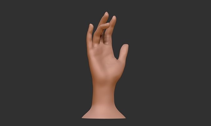 Jewelry Hand Holder free 3D model | CGTrader