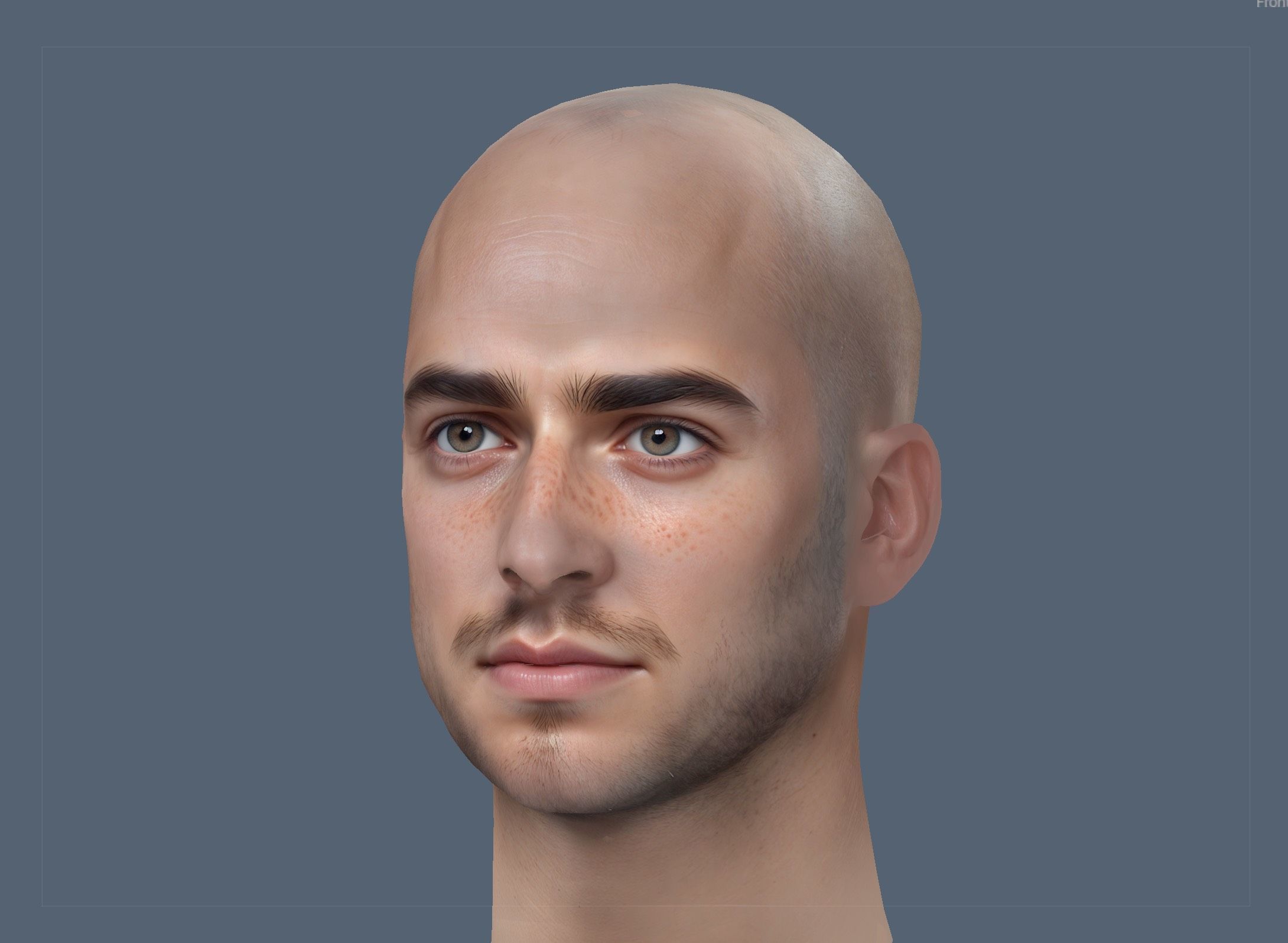 Male head Realistic Perfect Head free VR / AR / low-poly 3D model ...