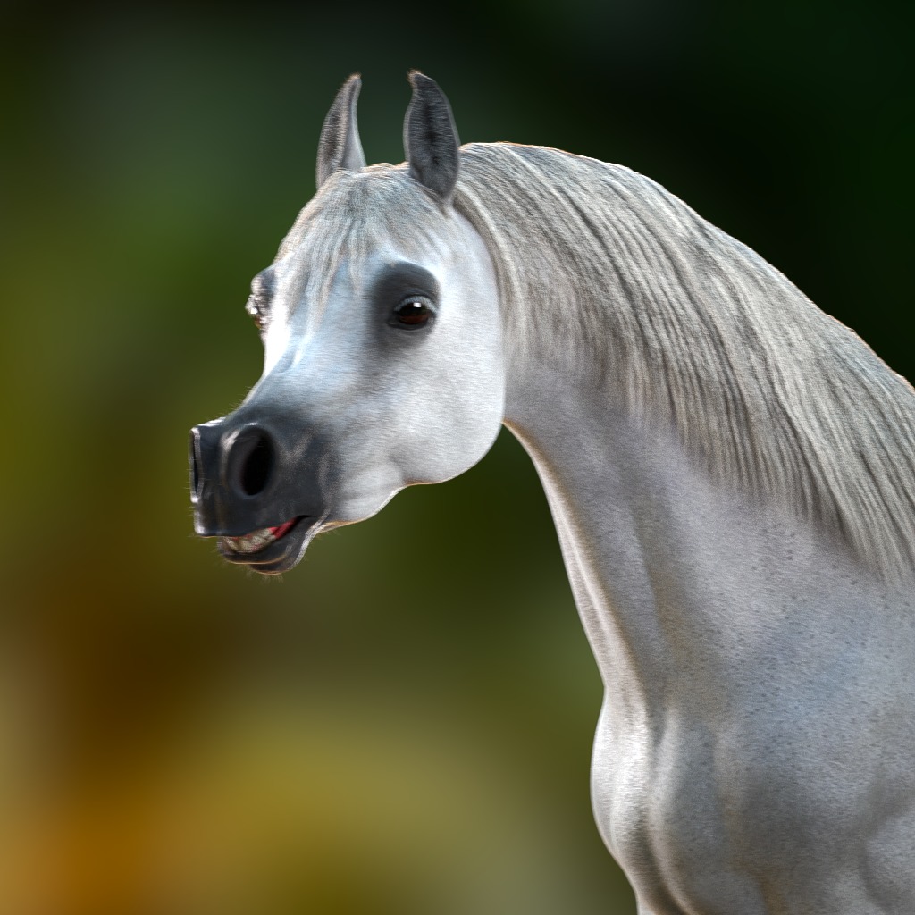 3D model Arabian Horse rig with Animation VR / AR / low-poly | CGTrader