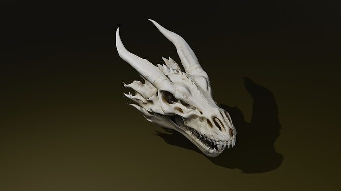 Mythcal ancient dragon skull 3D model | CGTrader