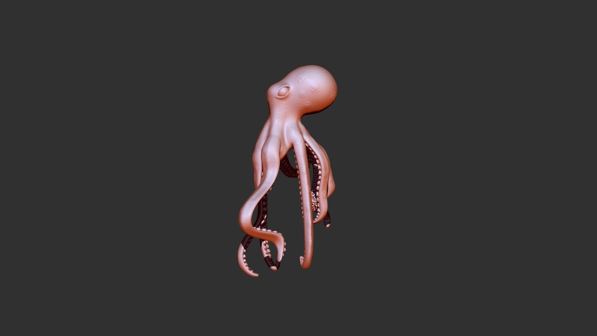 Octopus 3d model for 3D printing 3D model 3D printable | CGTrader