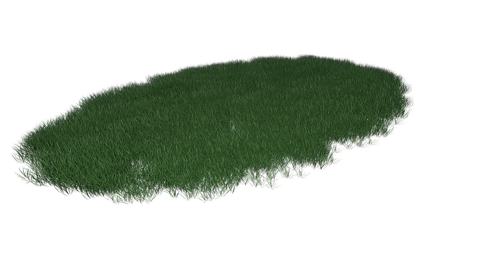 Lawn Grass Model for Exteriors 3D model | CGTrader