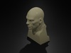 Mike Tyson Head Bust - STL File for 3D Printing 3D model 3D printable ...