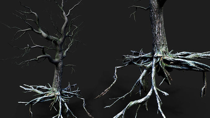 3D model tree pine roots photogrammetry 3d branches model VR / AR / low ...