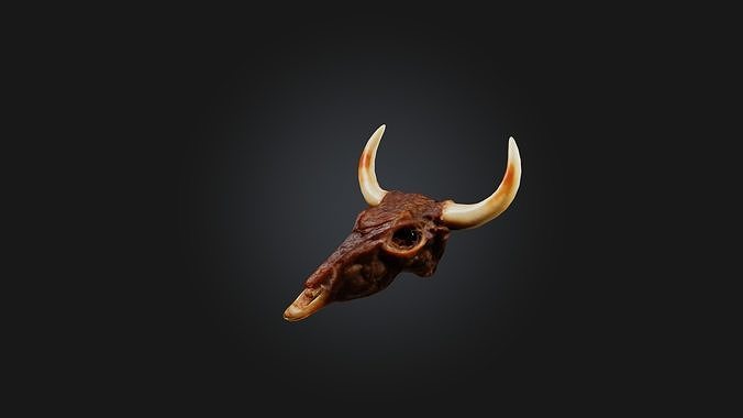 3D model Oxtail Model VR / AR / low-poly | CGTrader