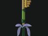 Fairy Harp Keyblade - Kingdom Hearts 3D model 3D printable | CGTrader