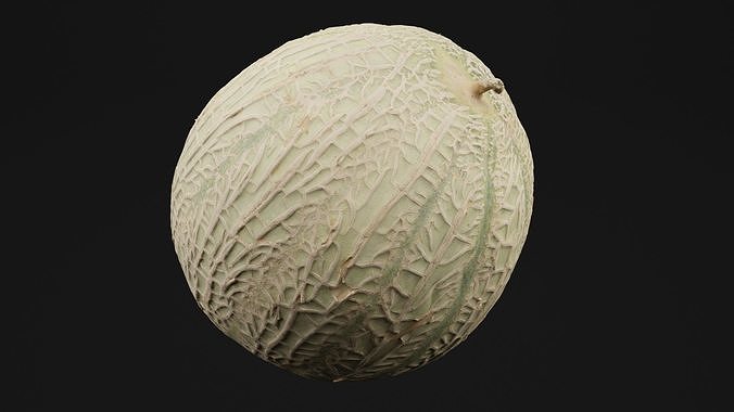 Melon Fruit 3D model | CGTrader