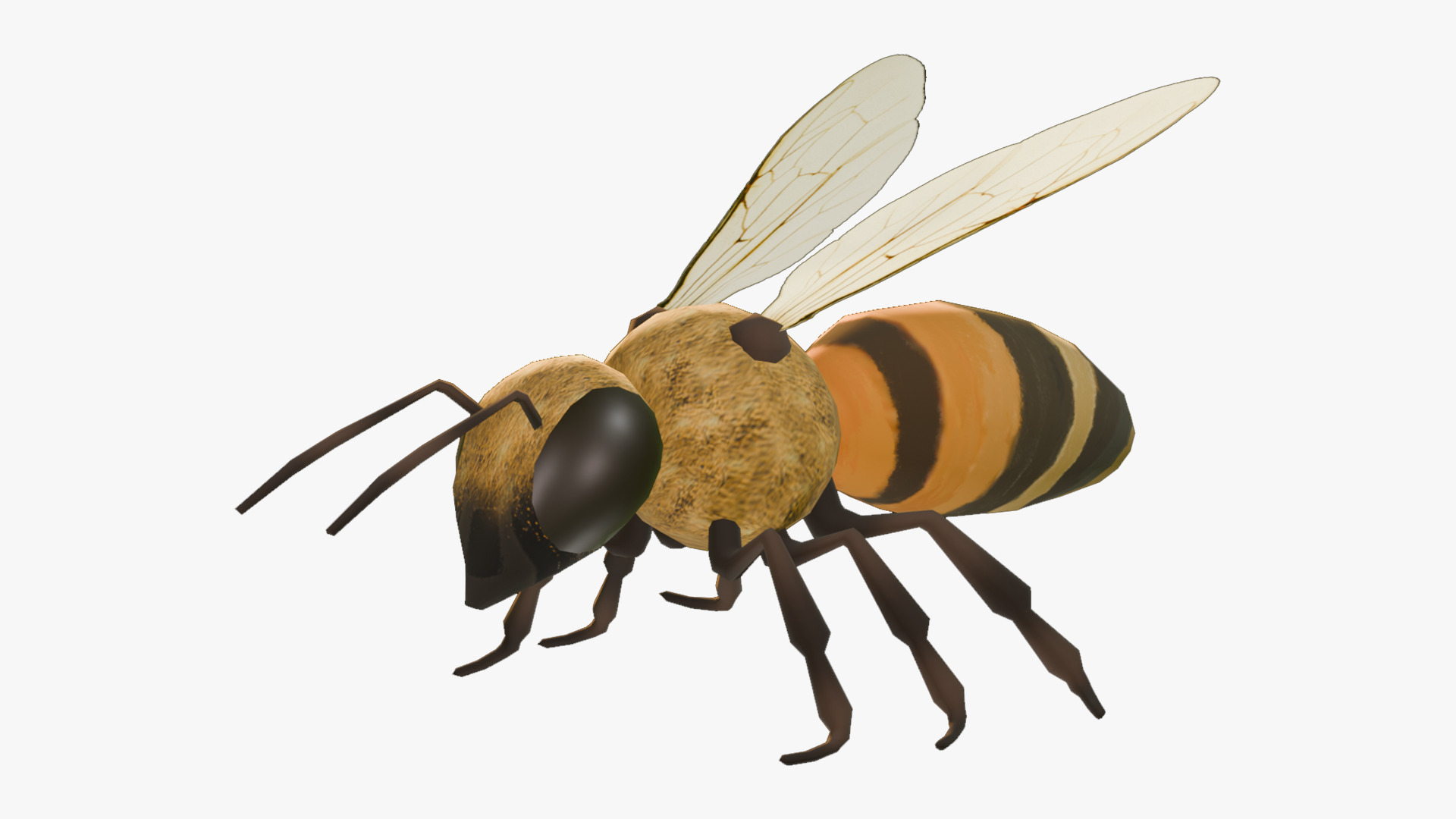 3D model Animated Bee VR / AR / low-poly | CGTrader