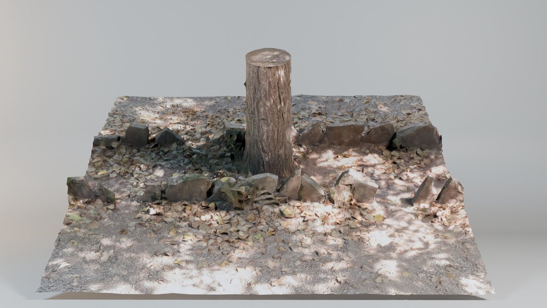 Tree trunk with stones photoscan free 3D model | CGTrader
