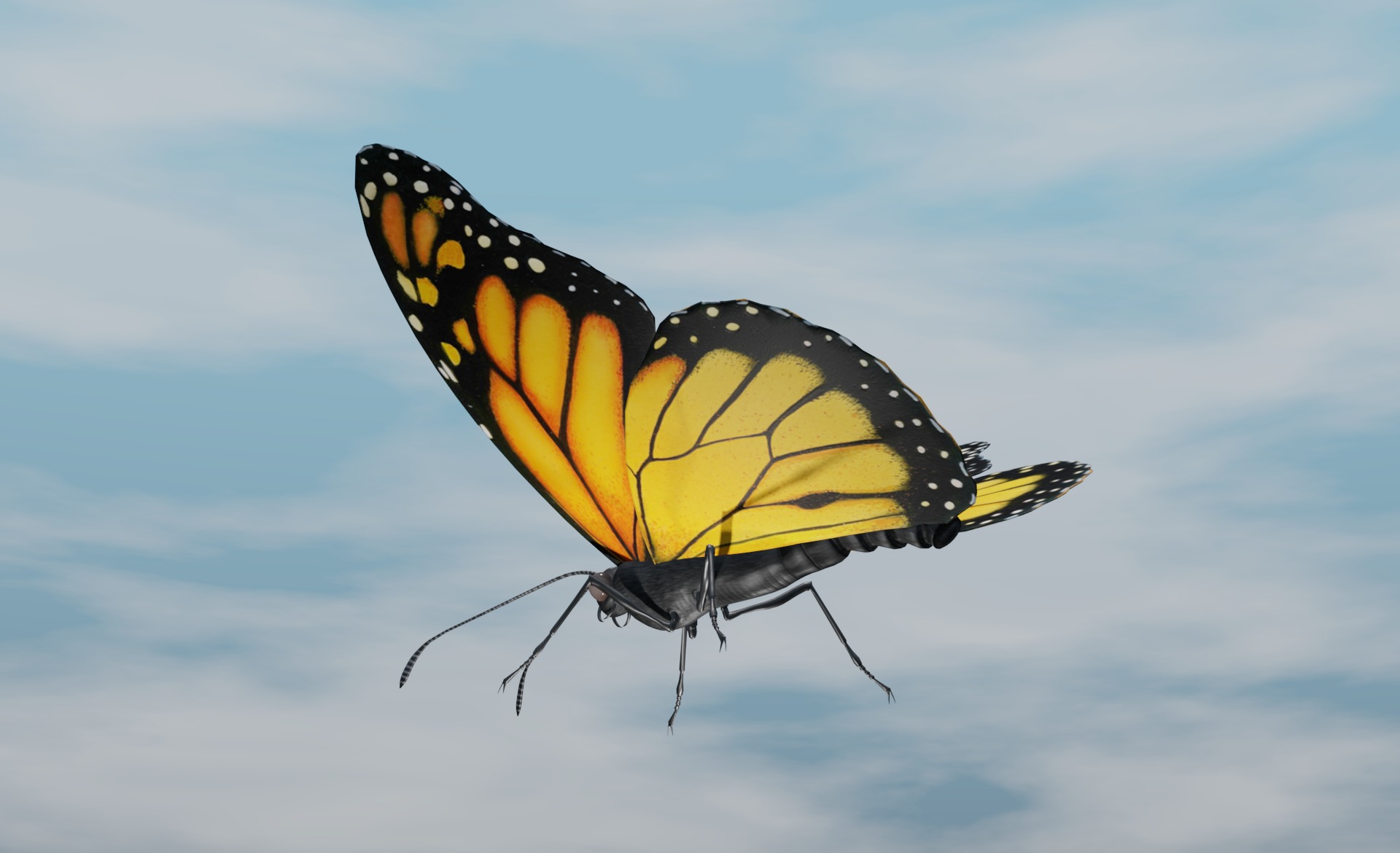 3D model Realistic Flying Butterfly VR / AR / low-poly | CGTrader